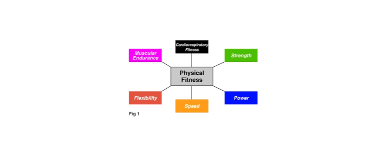 Components of Fitness and How to be Truly Considered “Fit” – Inspire ...